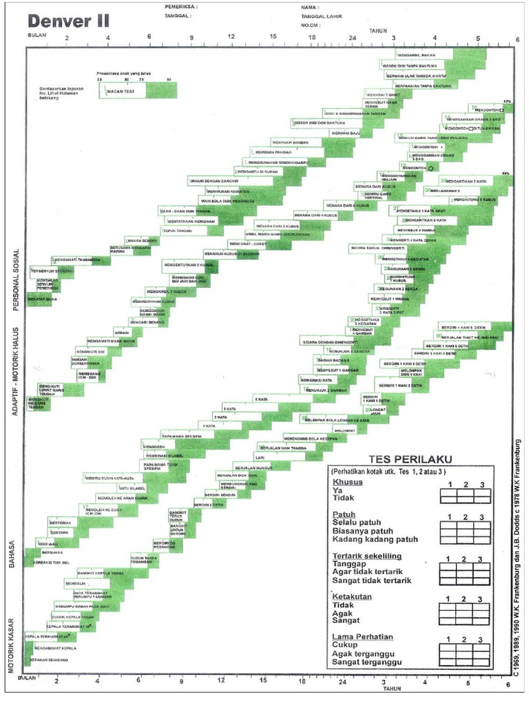 Formulir Denver II 2 | PDF