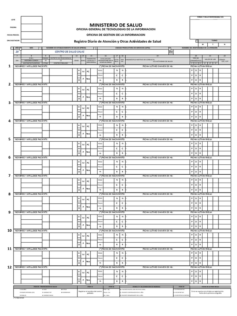 Formato His 2020 | PDF | Cuidado de la salud | Medicina