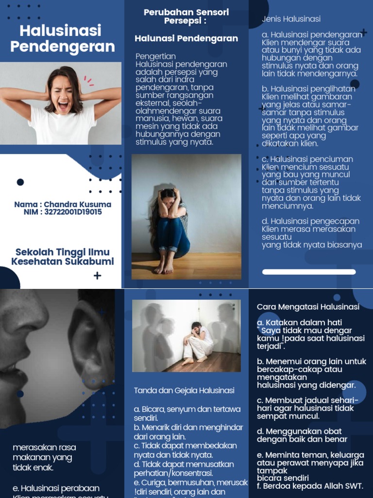 Leaflet Halusinasi | PDF