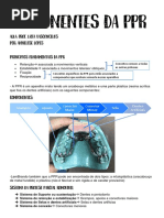 Grampos em PPR - Resumo | PDF | Dente