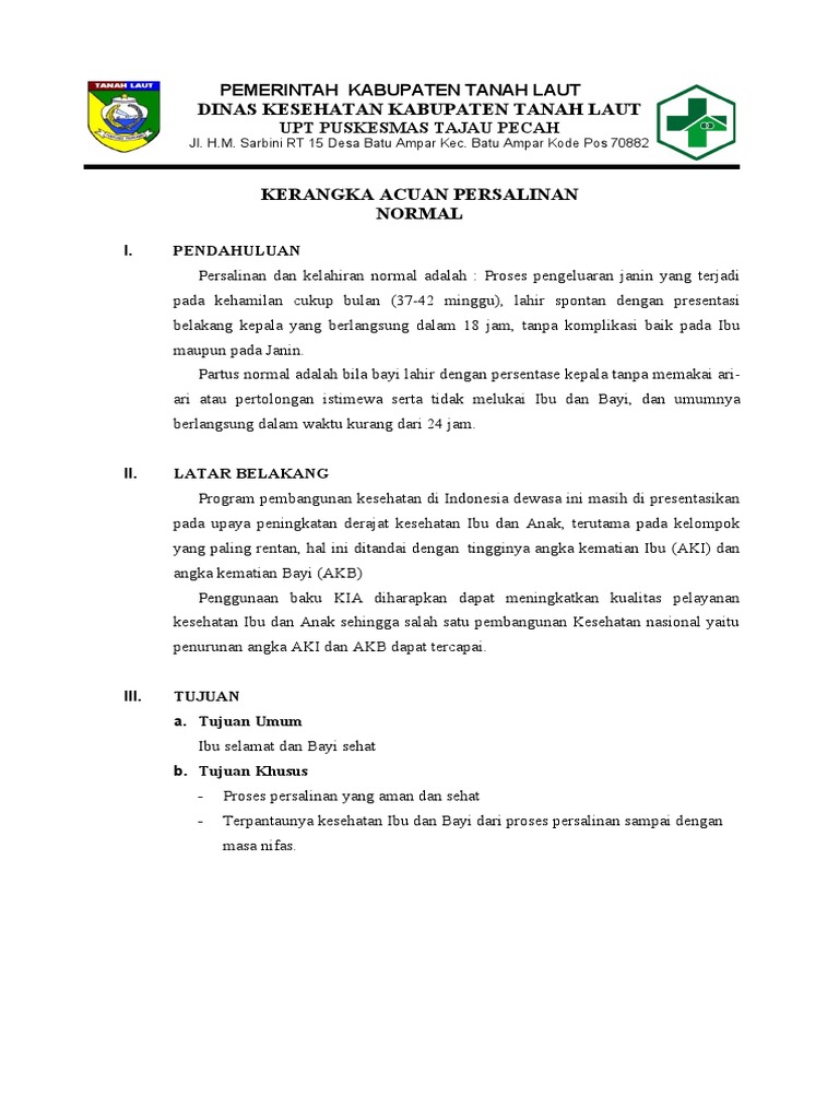 STANDAR OPERASIONAL PROSEDUR PERSALINAN NORMAL | PDF