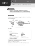 Brine Shrimp Lab Report | PDF | Experiment | Nature