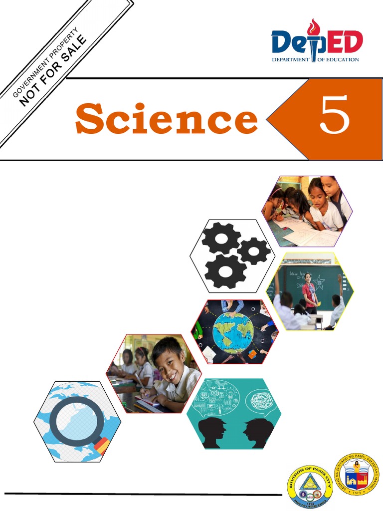 Science 5-Q4-SLM16 | PDF | Stars | Constellation