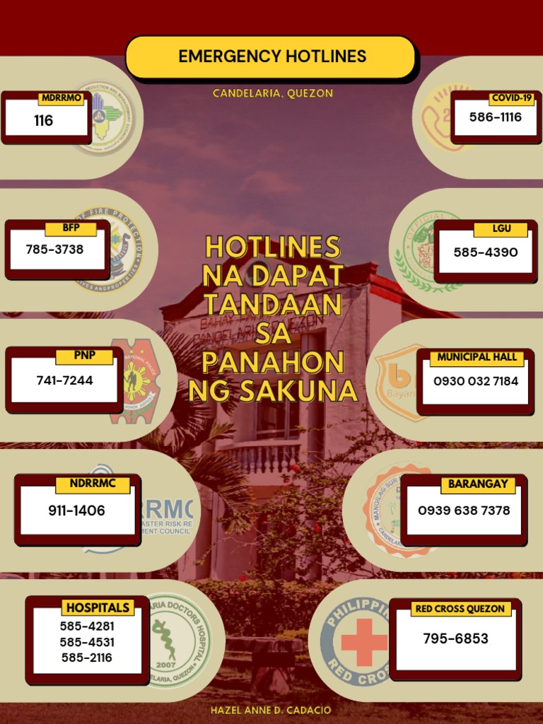 Hotline Numbers | PDF