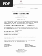 Guatemalan Birth Certificate Template | PDF | Birth Certificate ...