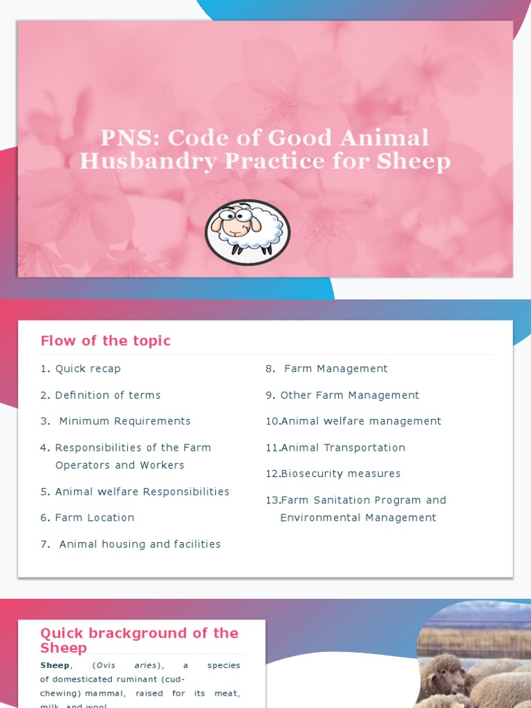 PNS - Sheep | PDF | Sheep | Animal Welfare