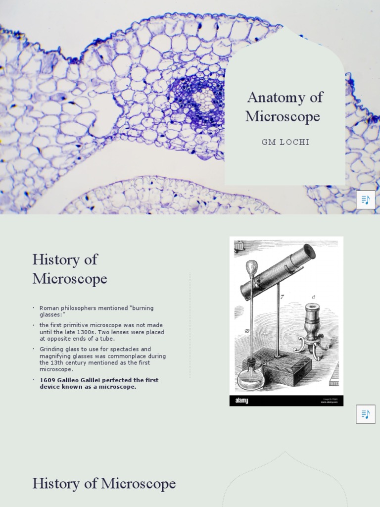 Anatomy of Microscope | PDF