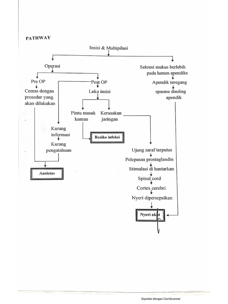 pathway apendisitis | PDF