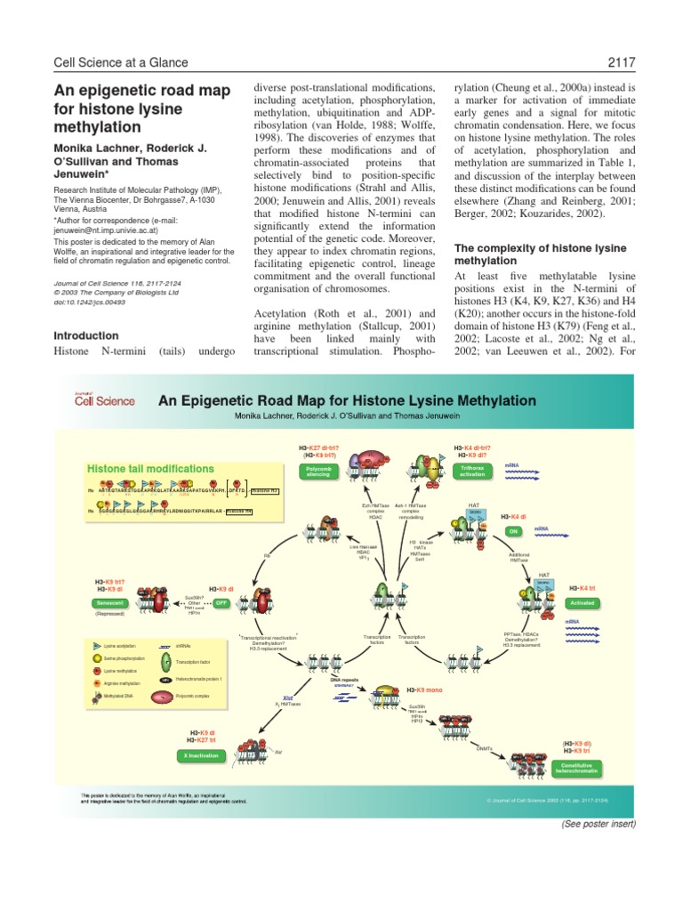 An Epigenetic Road Map | PDF | Histone | Epigenetics