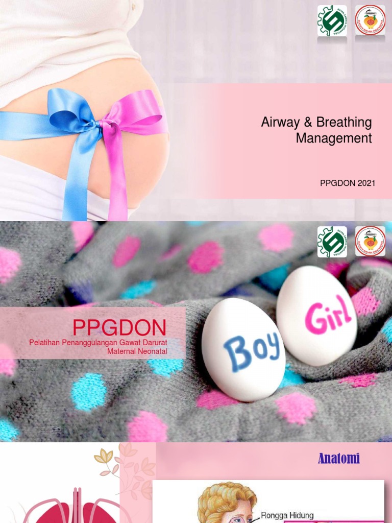 AB Management PDF