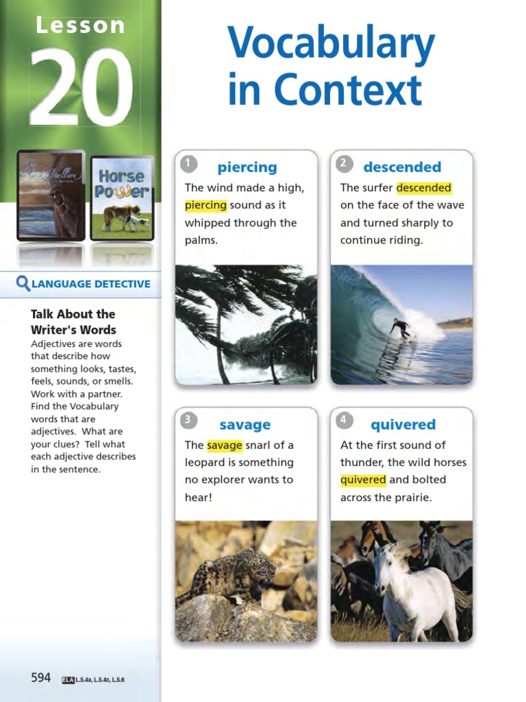 Journeys Lesson 20 - The Black Stallion | PDF | Horses