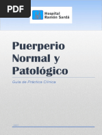 Brandt Andrews | PDF | Partería | Parto