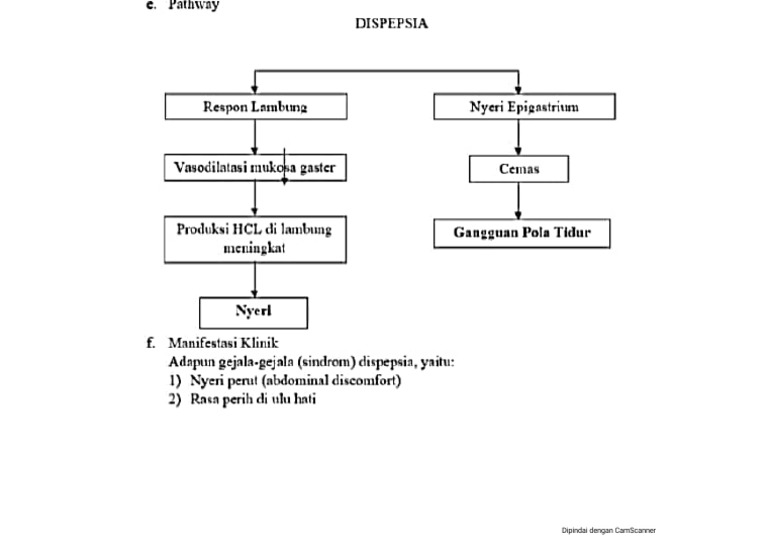 Pathway Dispnea | PDF