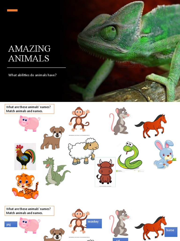Can Animals' Abilities - Students | PDF | Science & Mathematics