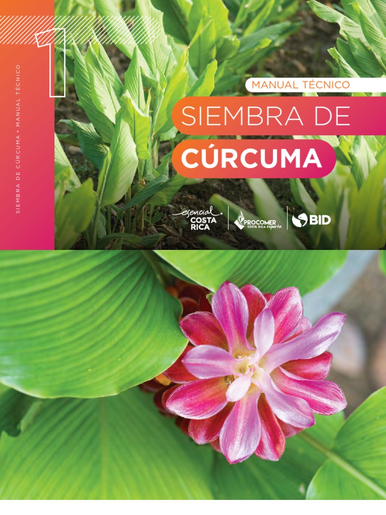 Manual de Siembra Curcuma | PDF | Riego | Siembra