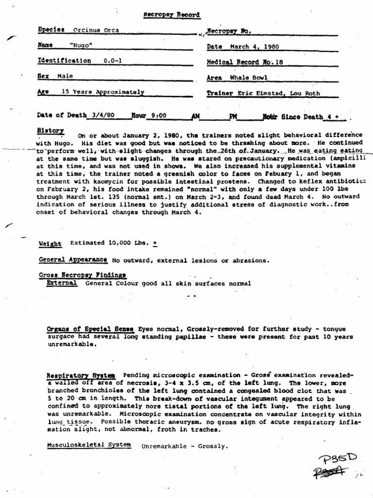 Orca Medical Record and Autopsy Summary | PDF | Organ (Anatomy) | Angiology