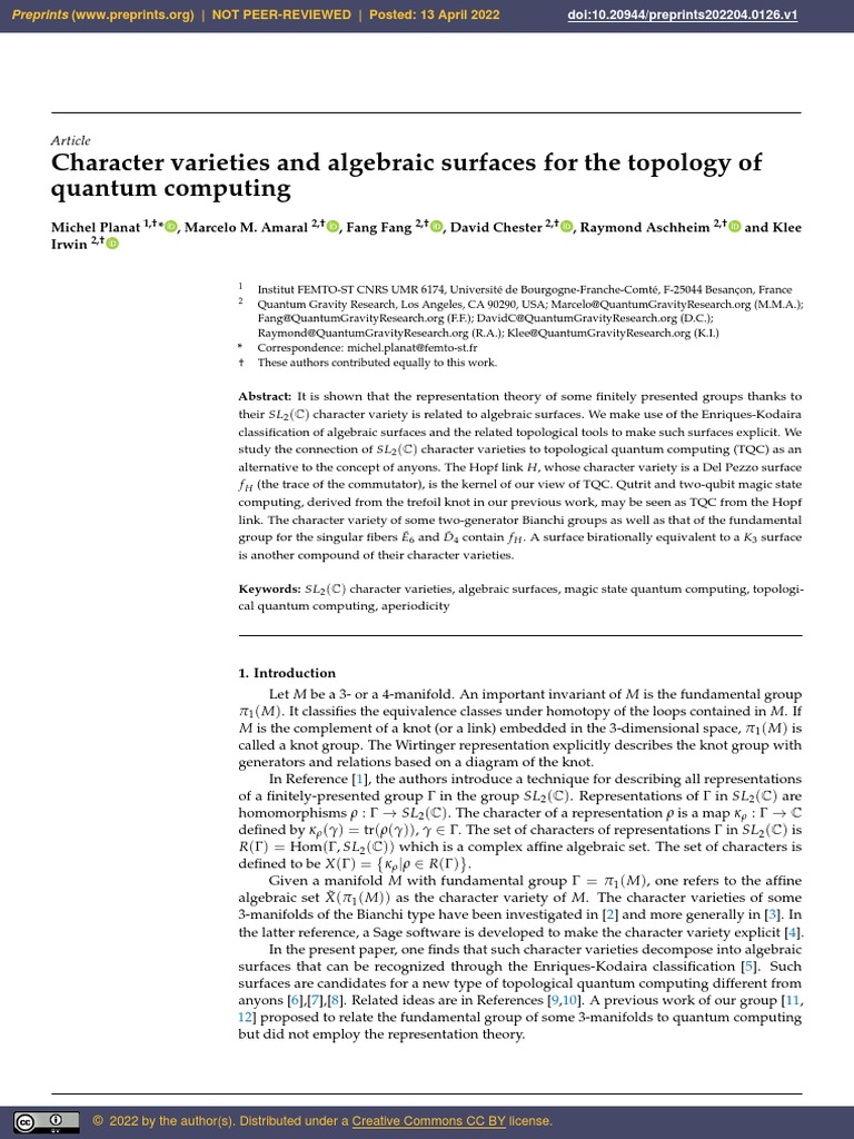 Character Varieties and Algebraic Surfaces For The Topology of Quantum ...