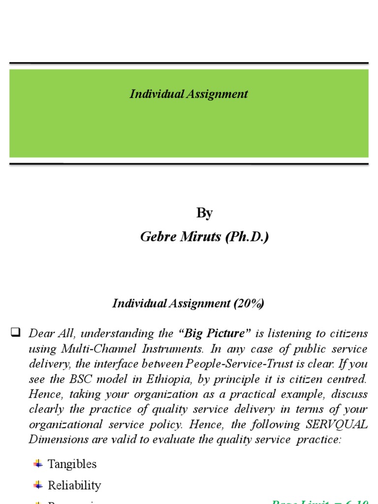 Indvidual Assignment | PDF