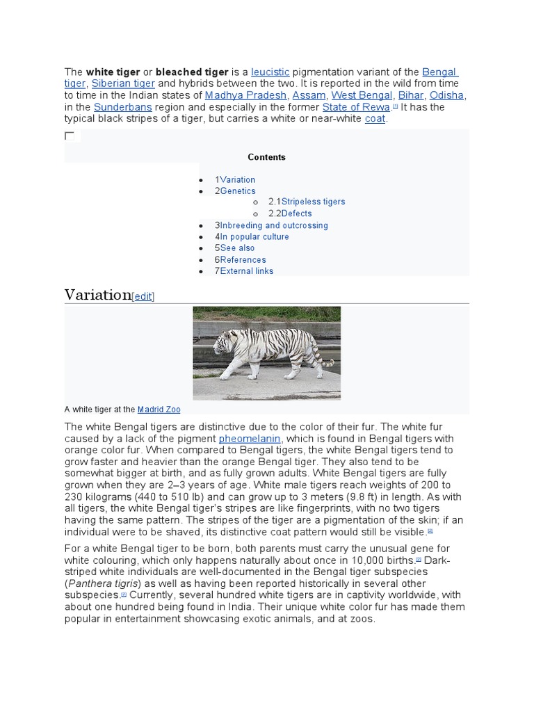 White Tiger | PDF