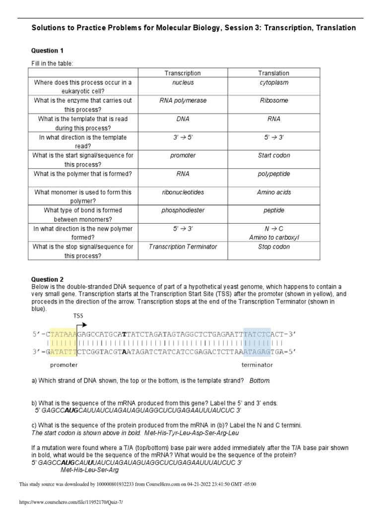 Solutions To Practice Problems For Molecular Biology, Session 3 ...