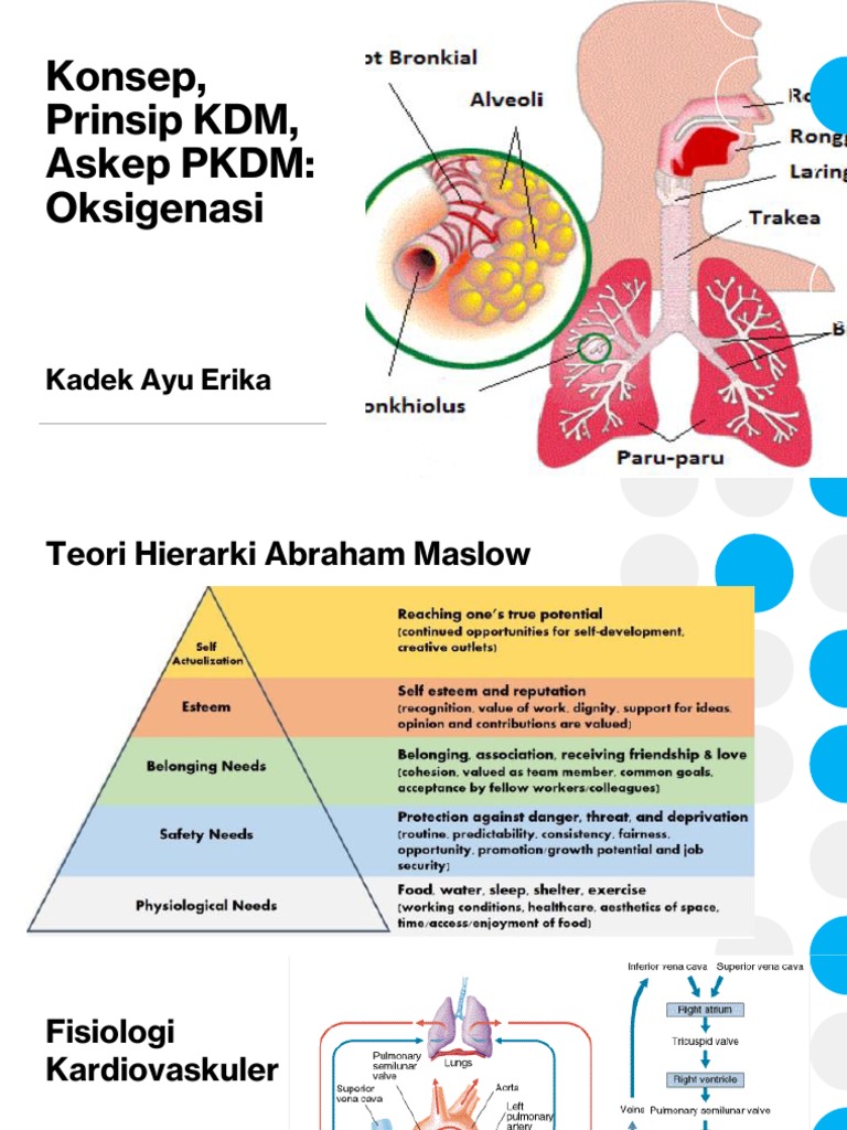 PKDM-Oksigenasi - Kadek Ayu Erika | PDF | Kesehatan Holistik