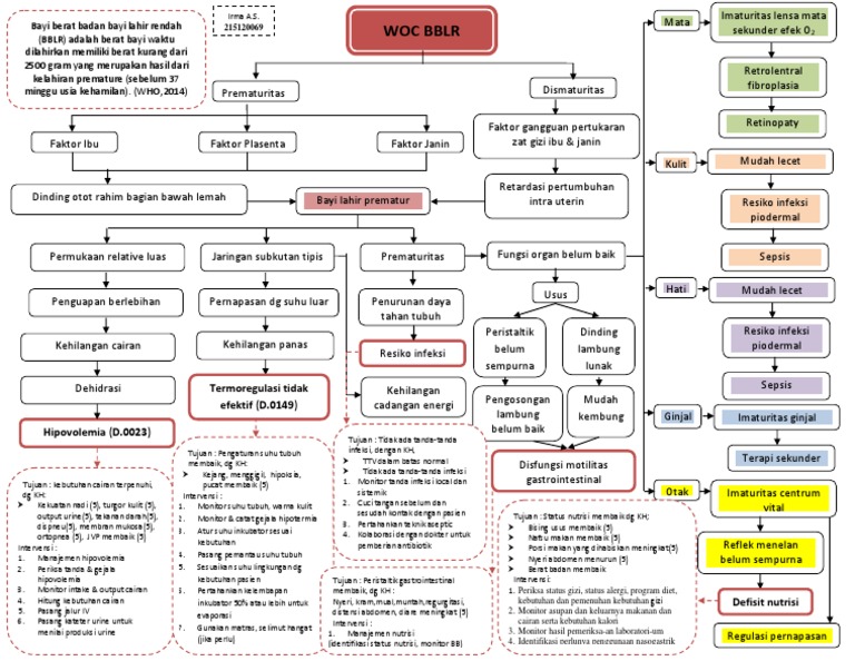 Program 1 (Woc BBLR) | PDF