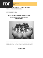 ΚΟΙΝΩΝΙΚΟ ΙΣΤΟΡΙΚΟ | PDF