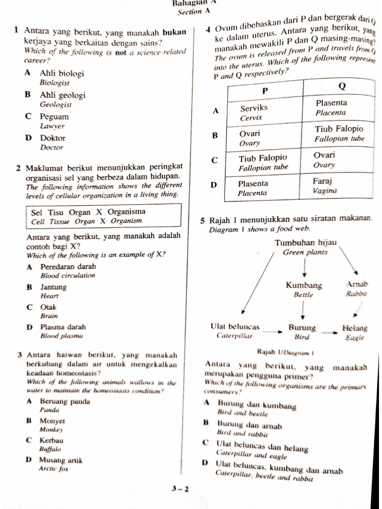 Set 3 PT3 Science | PDF