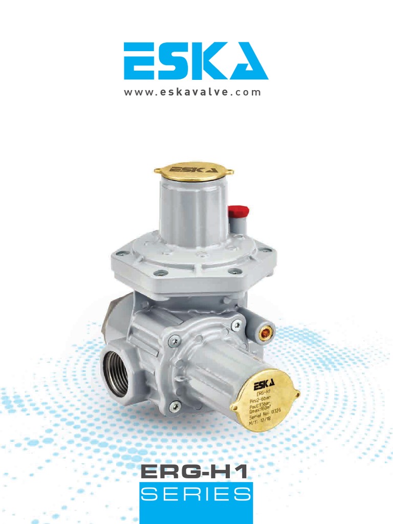 ERG-H1: Series | PDF | Valve | Chemical Engineering