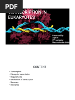 UNIT 7 Eukaryotic Transcription | PDF