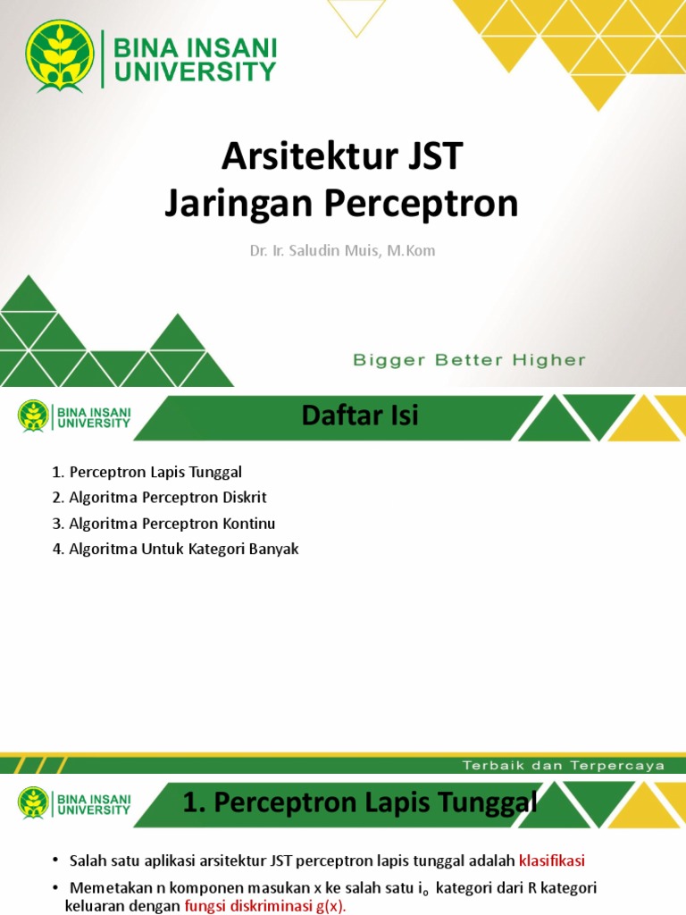 Arsitektur JST - Jaringan Perceptron | PDF