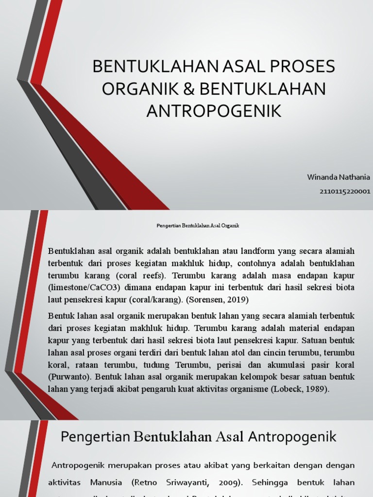 Bentuklahan Organik & Antropogenik | PDF