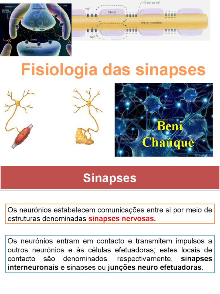 Aula 3 Fisiologia Das Sinapses | PDF | Sinapse | Neurônio