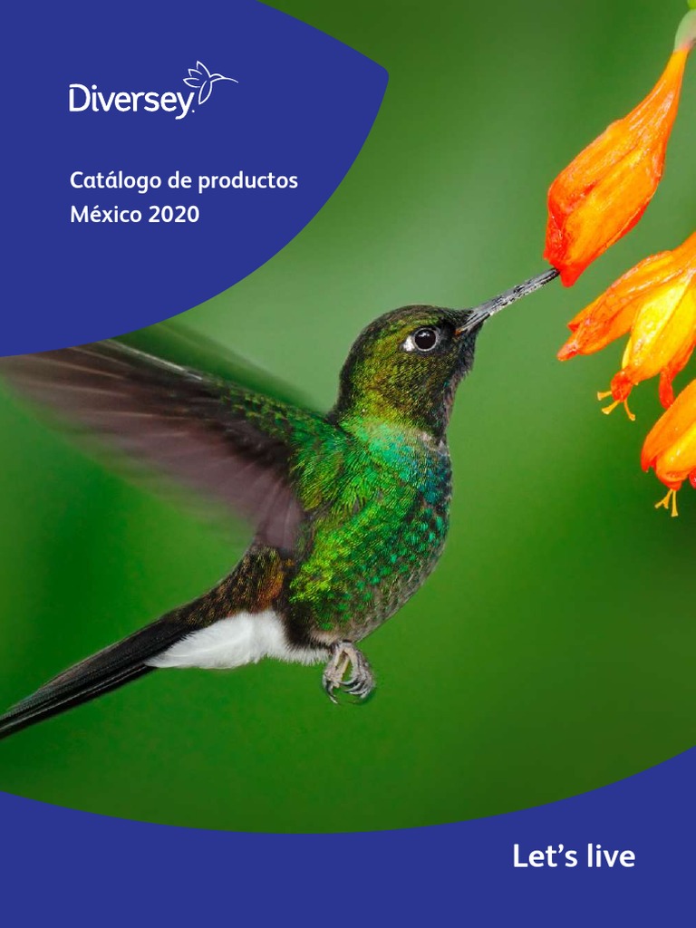 Johnson Profesional Catalogo Diversey 2020 | PDF | Detergente | Agua