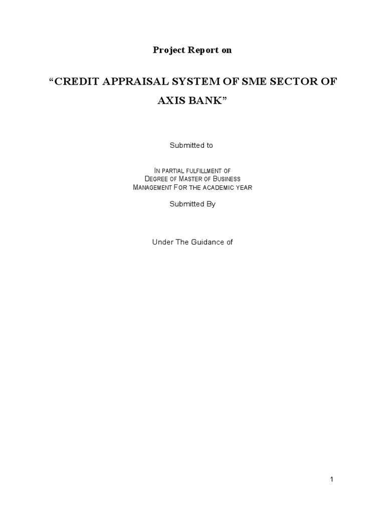 Credit Appraisal Process of Axis Bank | PDF | Loans | Finance & Money ...