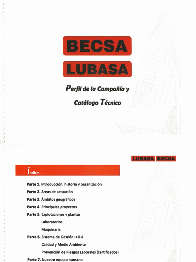 Organización y proyectos de Becsa | PDF