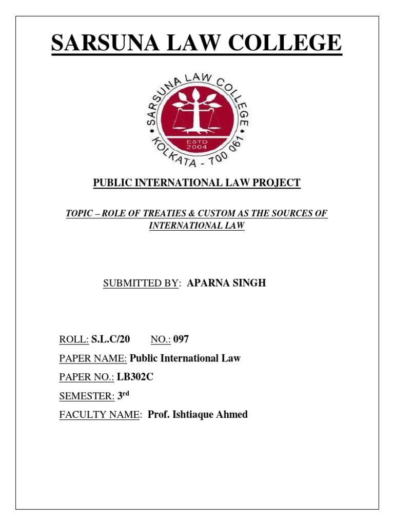 Treaties and Customs in International Law | PDF | Treaty | Ratification