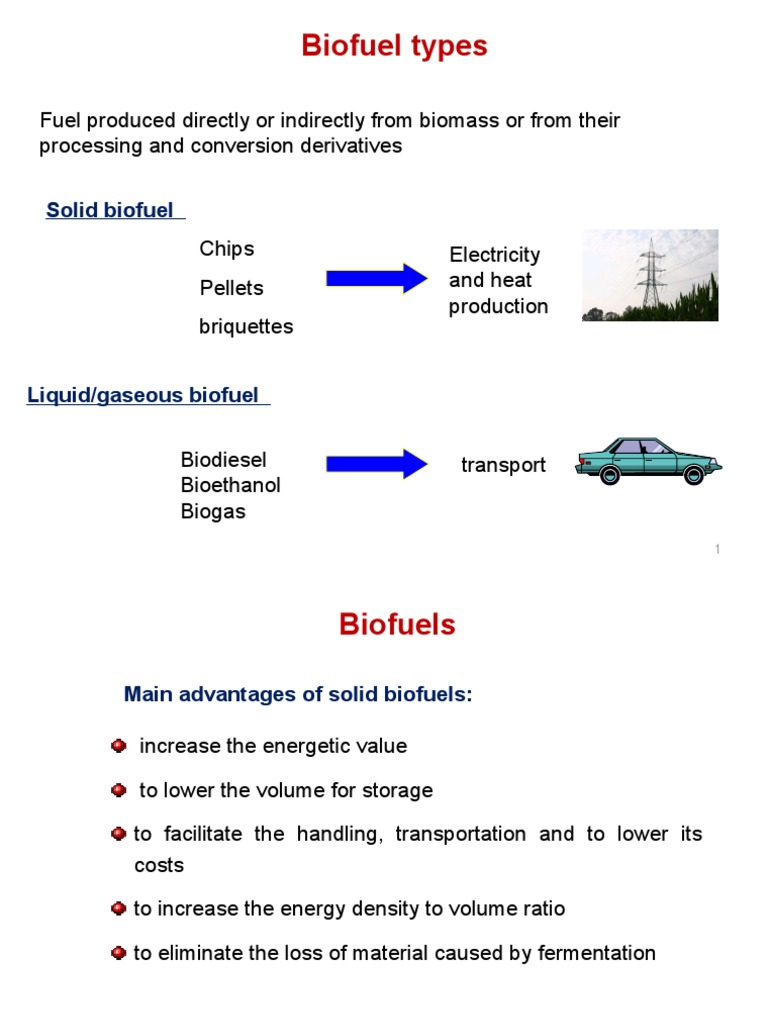 Biofuel Types: Fuel Produced Directly or Indirectly From Biomass or ...