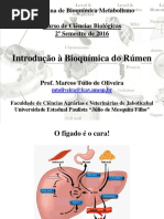Mat. Estudos - Microbiota Ruminal - Nutrição de Ruminantes | PDF ...