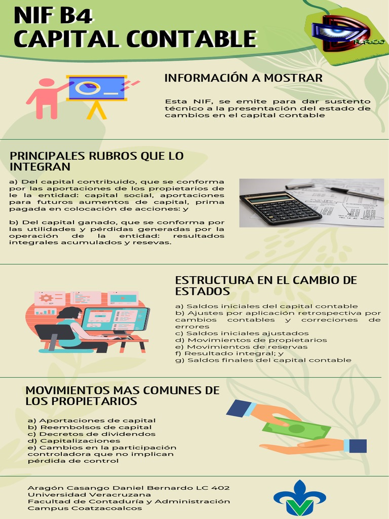 Infografia Nif B4 | PDF | Finanzas y dinero | Informática