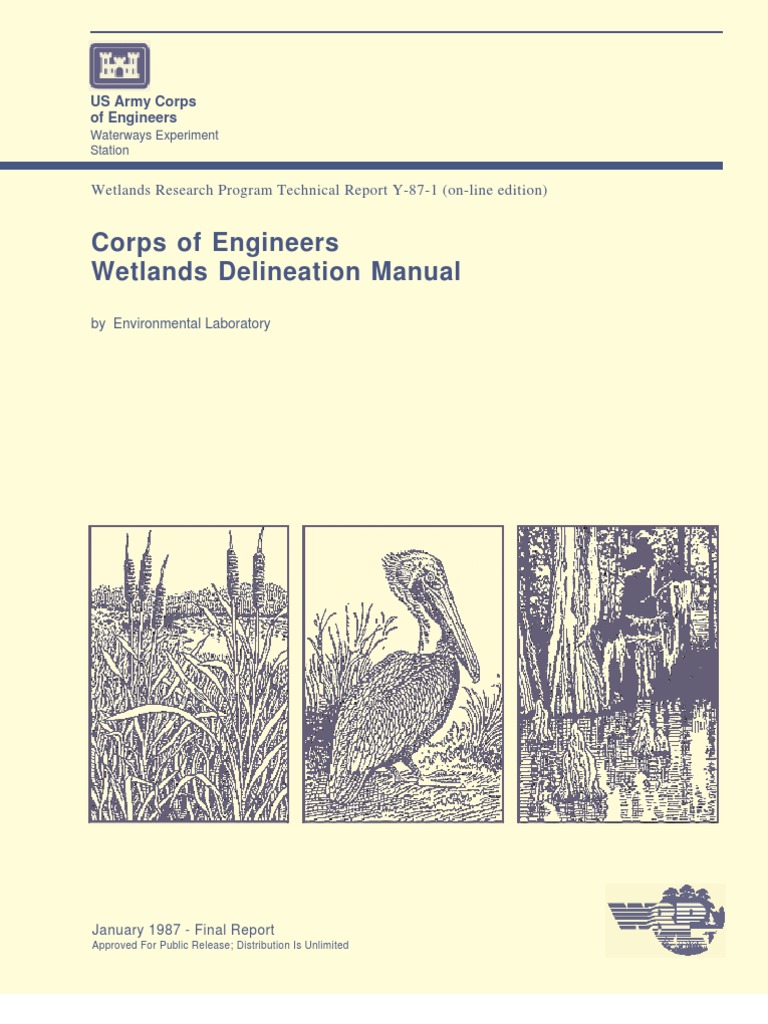 Corps of Engineers Wetlands Delineation Manual | Wetland | United ...