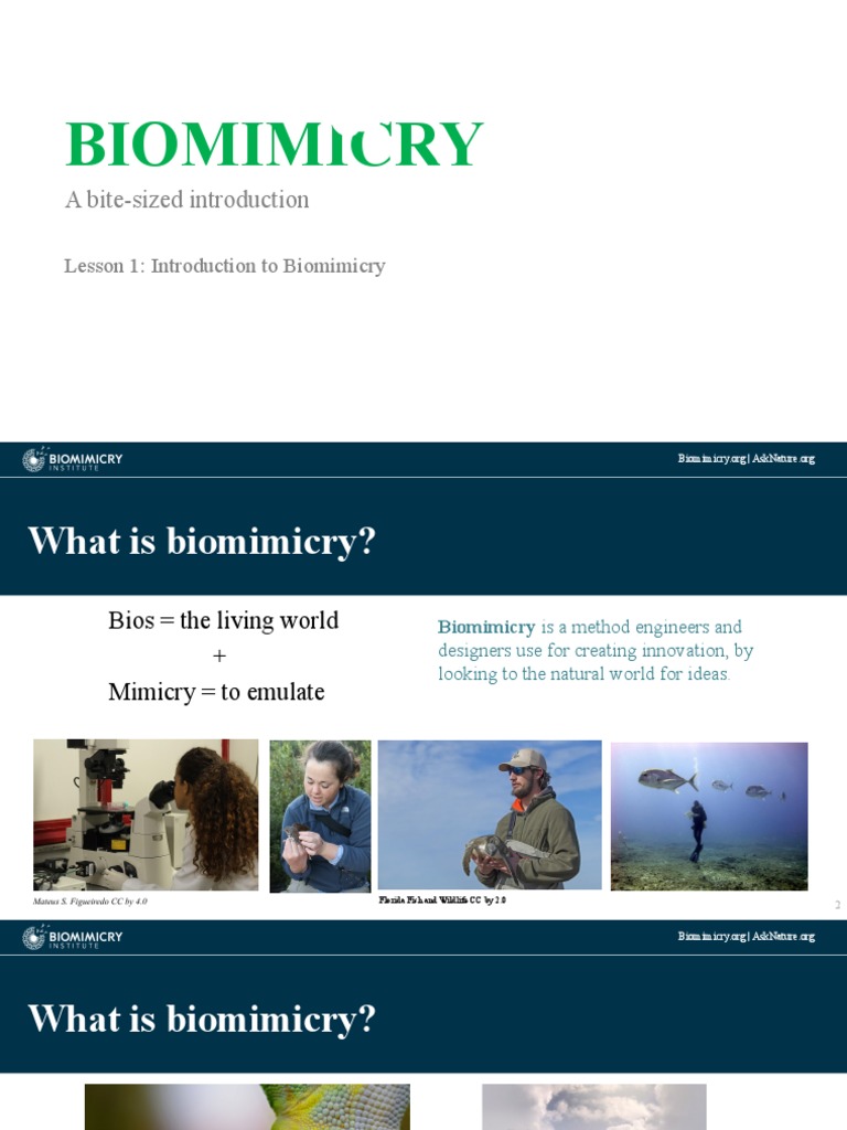 Biomimicry Bitesized Lesson-1 Slides | PDF | Ecosystem | Ecology