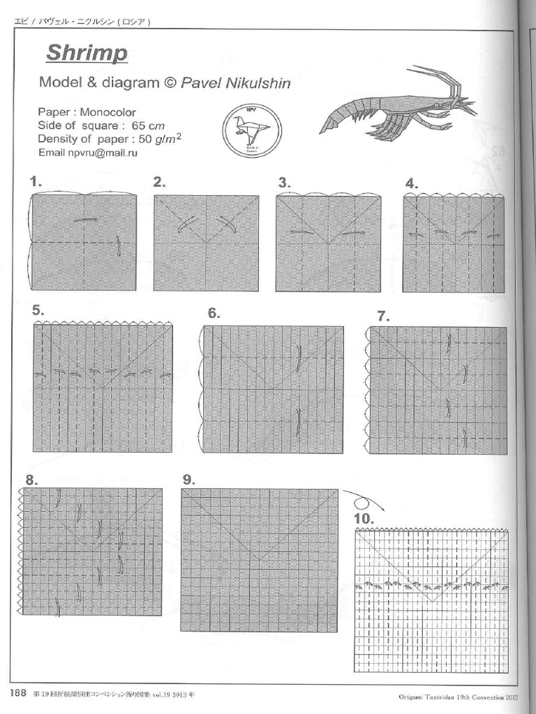 Shrimp - Pavel Nikulshin | PDF