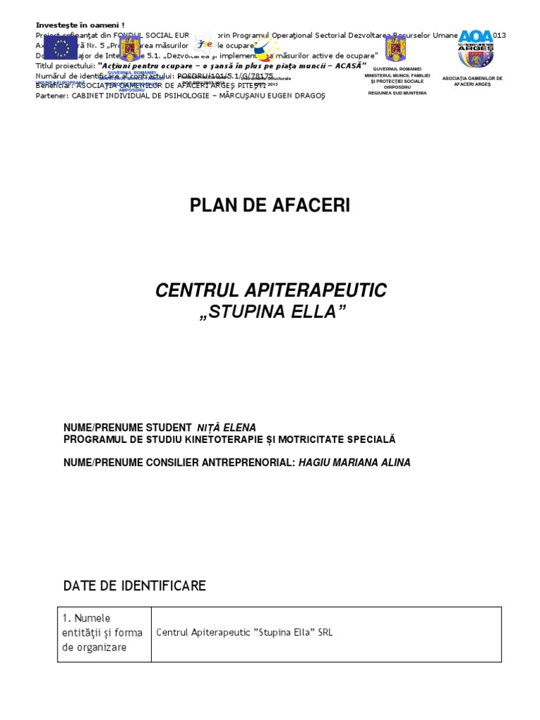 Plan de Afacere | PDF