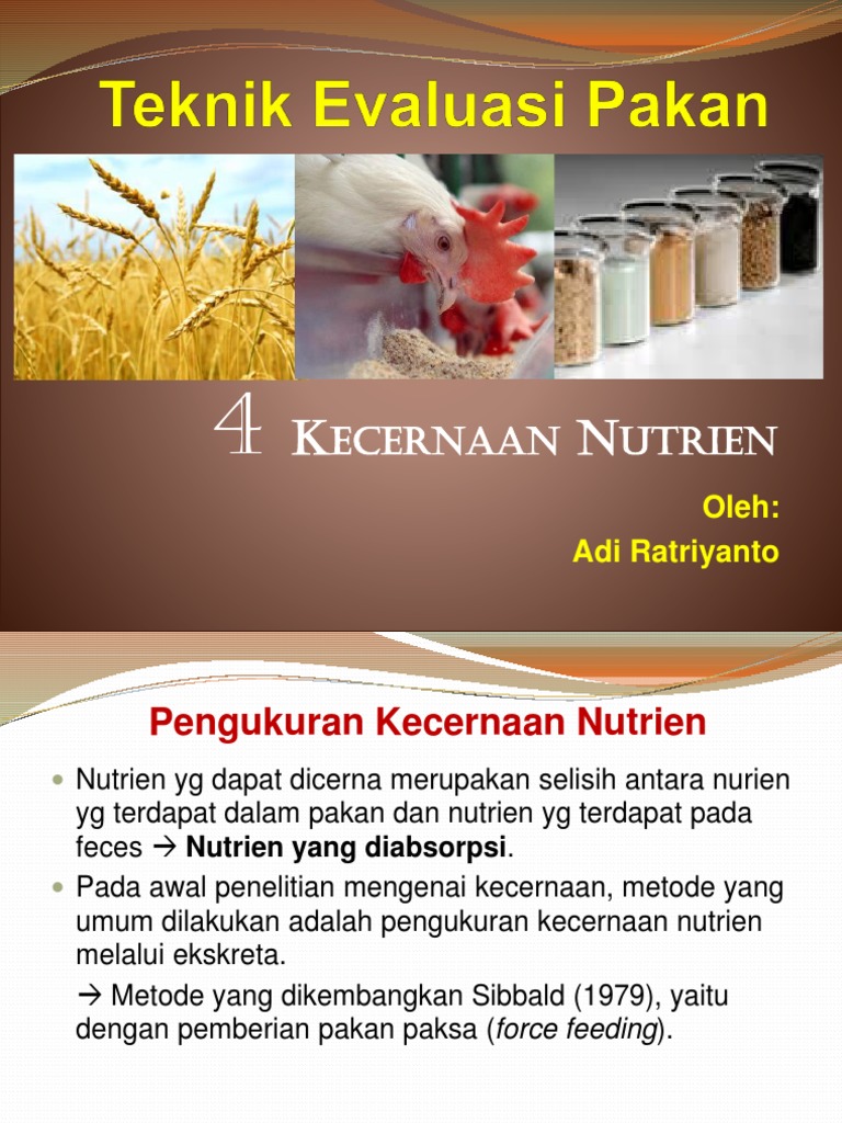 TEP 4 Kecernaan | PDF