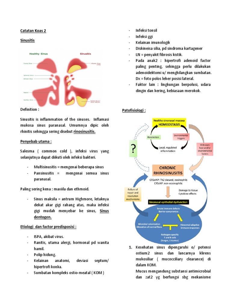 Catatan Koas 2 - Sinusitis-Acute Sinusitis | PDF