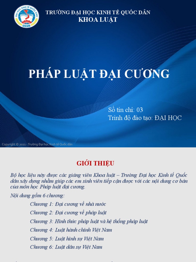 Slide Bài Gi NG PLĐC | PDF