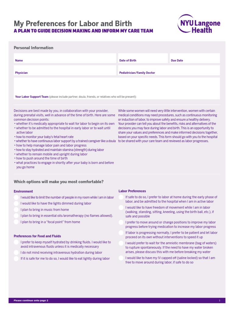 My Preferences For Labor and Birth: A Plan To Guide Decision Making and ...