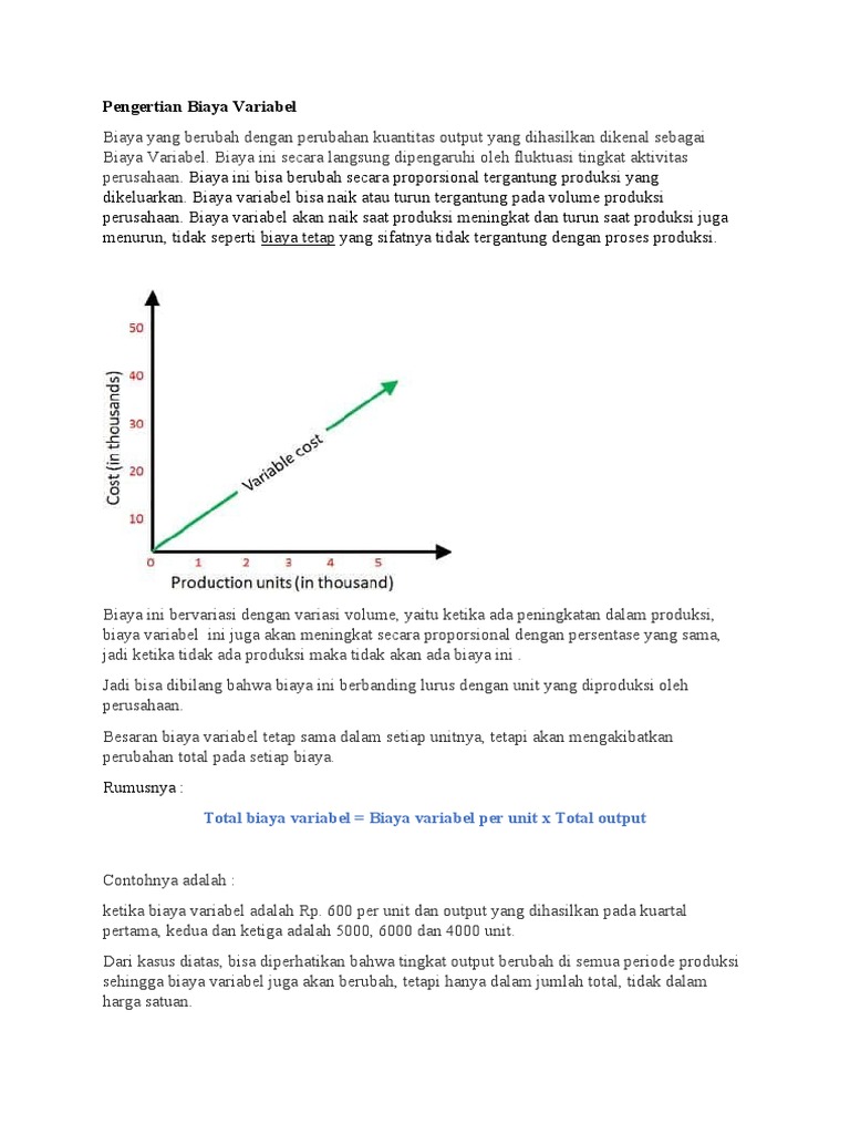 Biaya Variabel | PDF