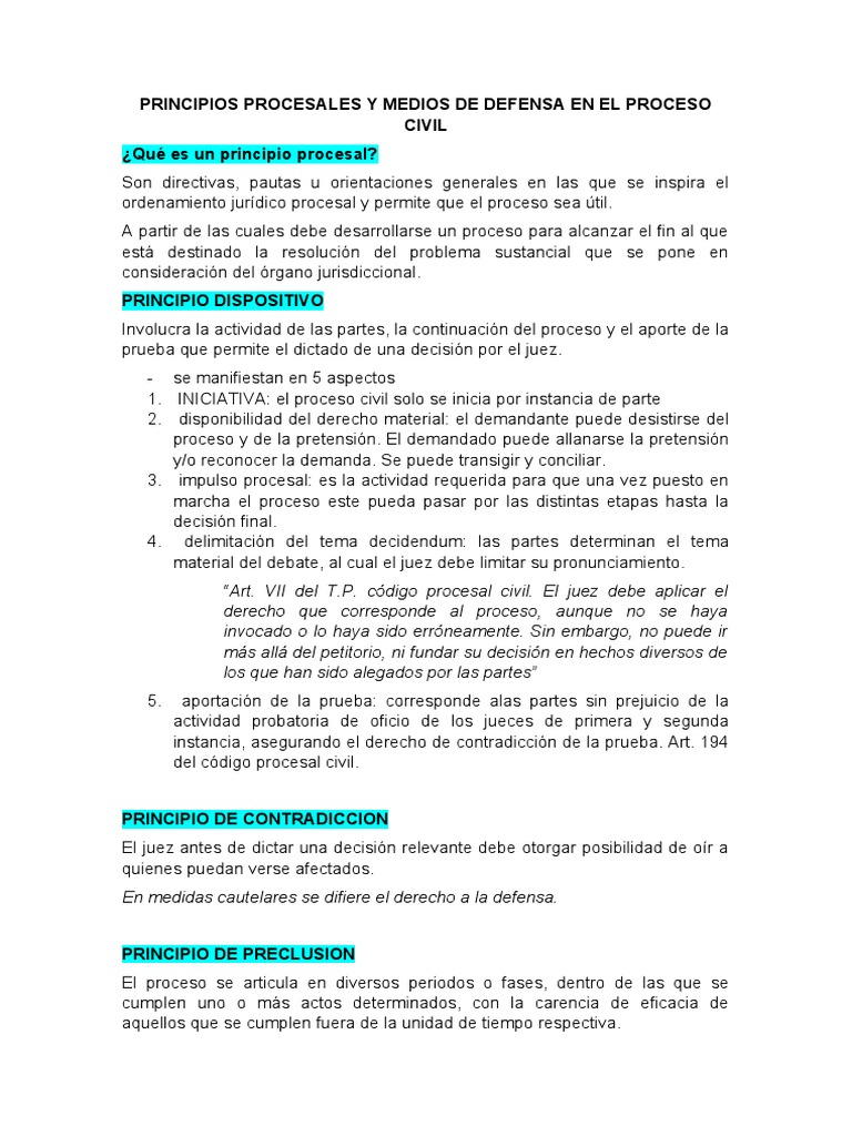 Principios y Medios de Defensa en Proceso Civil | PDF | Ley procesal ...
